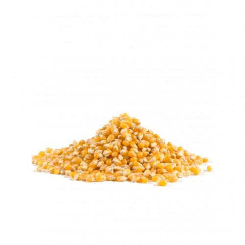 Bob's Red Mill GF Yellow Popcorn 850g